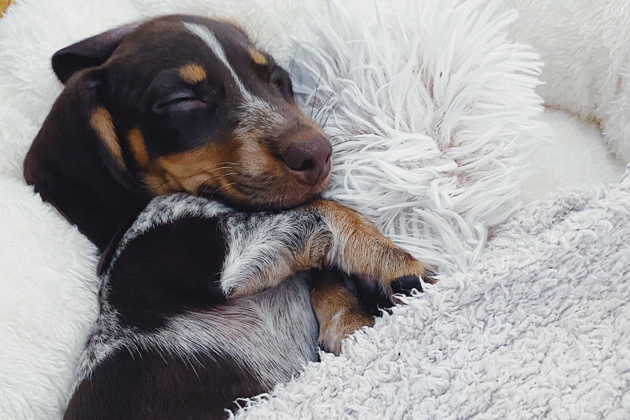 Mastering Sleep Hygiene: 14 Essential Practices for Quality Rest Mastering Sleep Hygiene: 14 Essential Practices for Quality Rest